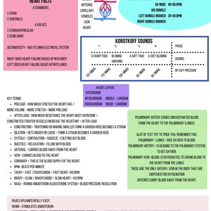 38 Pages Easy EKG and Master the Basics Like Heart Blocks, Help With ...