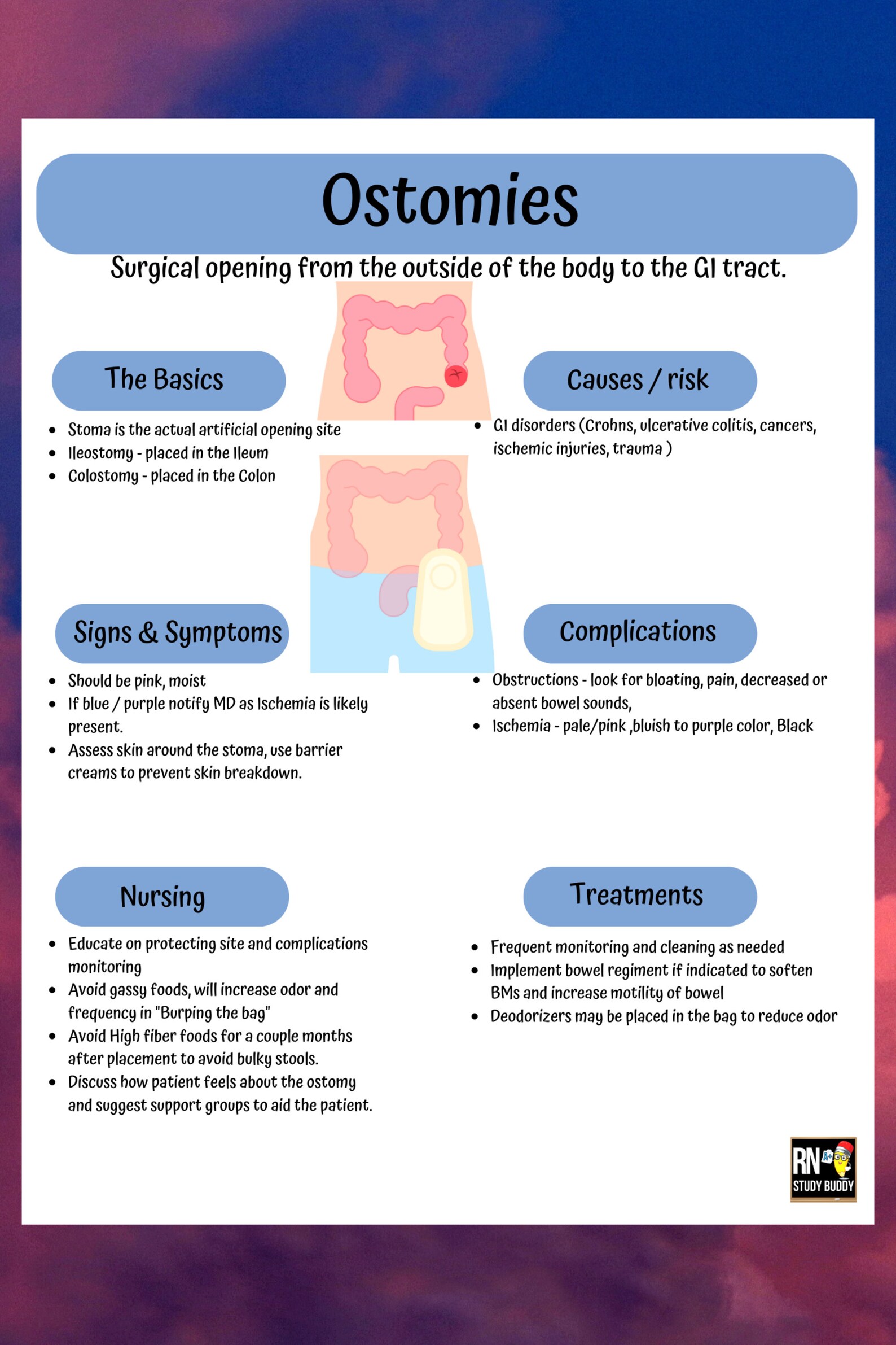 Nursing School GI Bundle Gastrointestinal . 21 Pages of GI Nursing ...