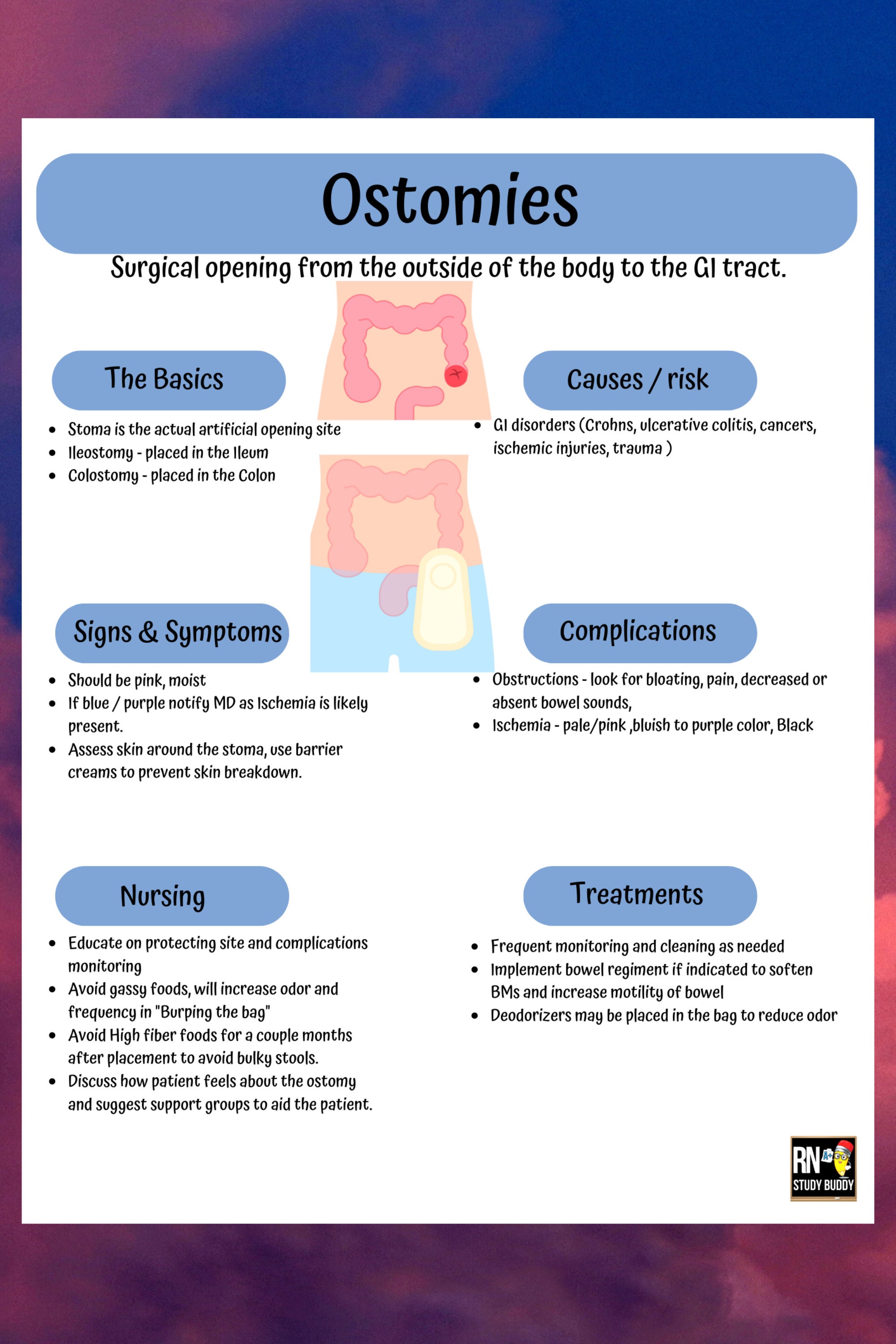 Nursing School GI Bundle Gastrointestinal . 21 Pages of GI Nursing ...