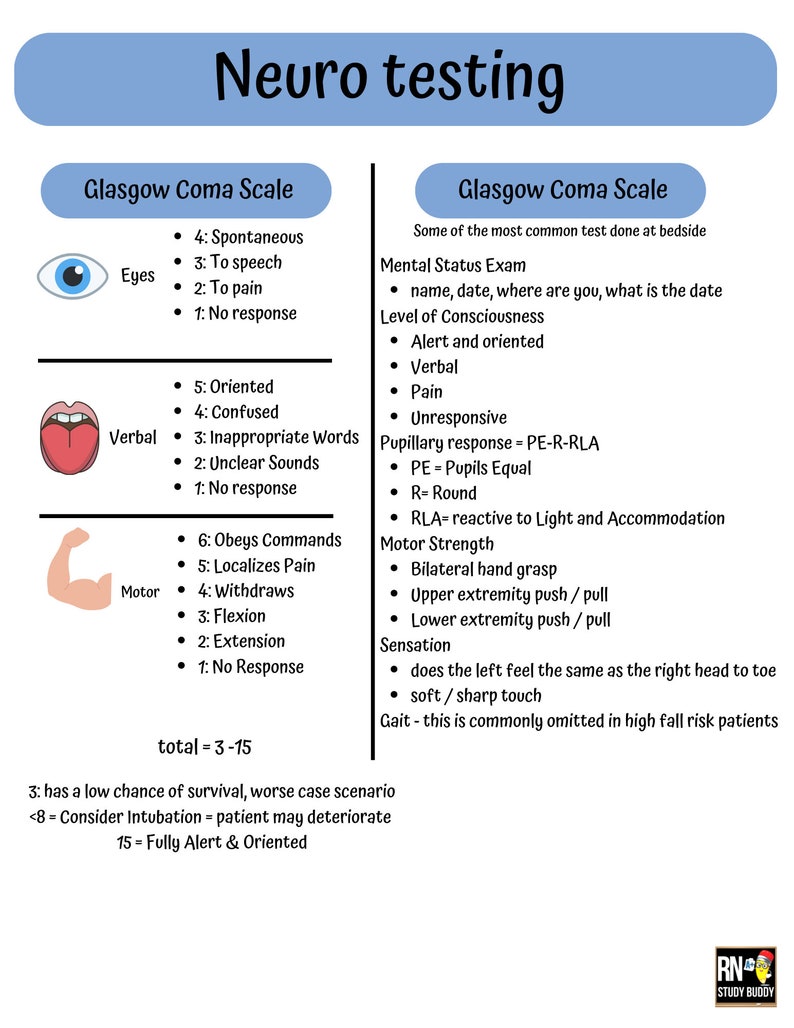 Nursing School Notes, Medsurg Neurology Basics, This Cheat Sheet Gives ...