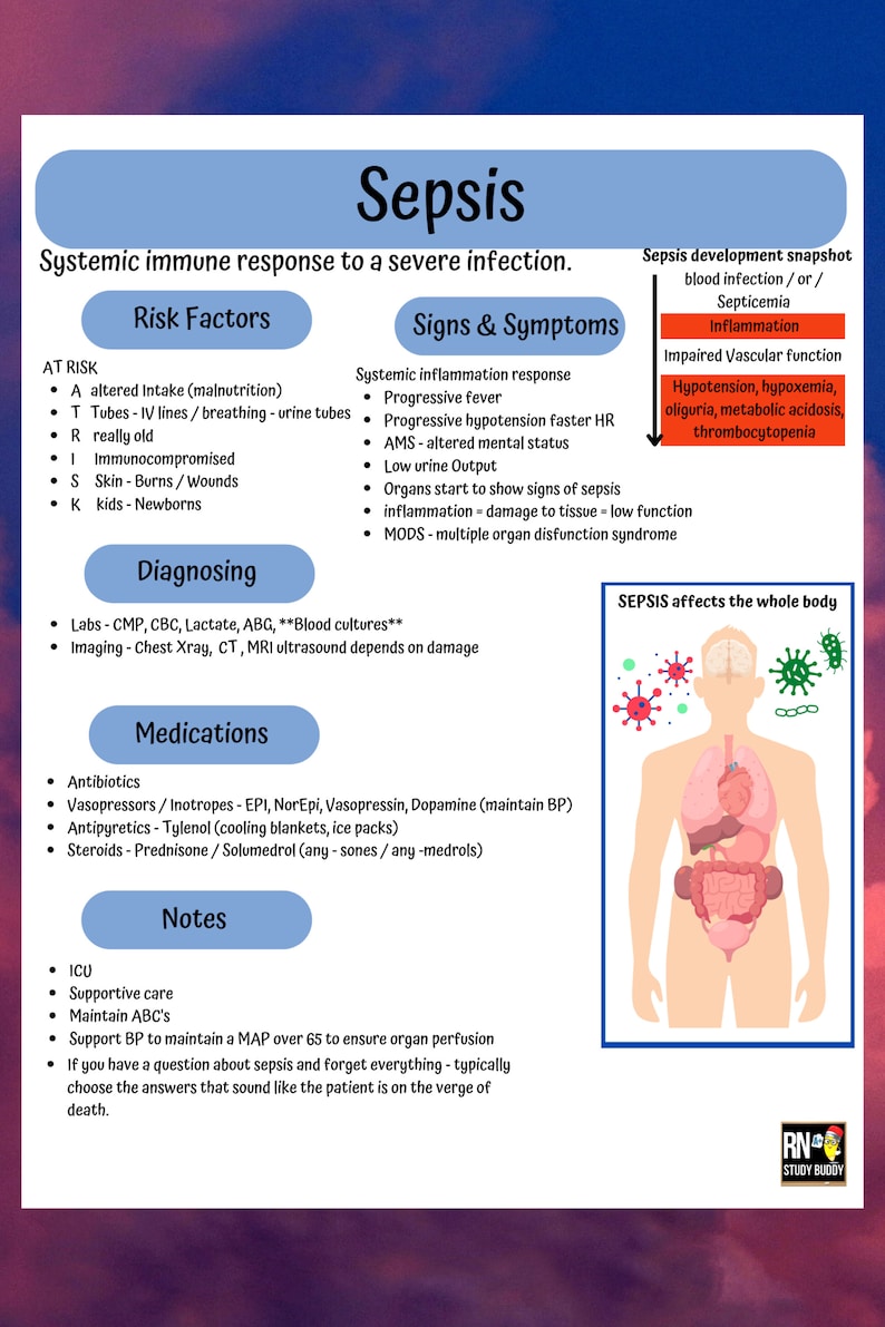 Cardiac Medsurg Bundle. 18 Pages Easy Cardiac Medsurg Nursing Notes and ...