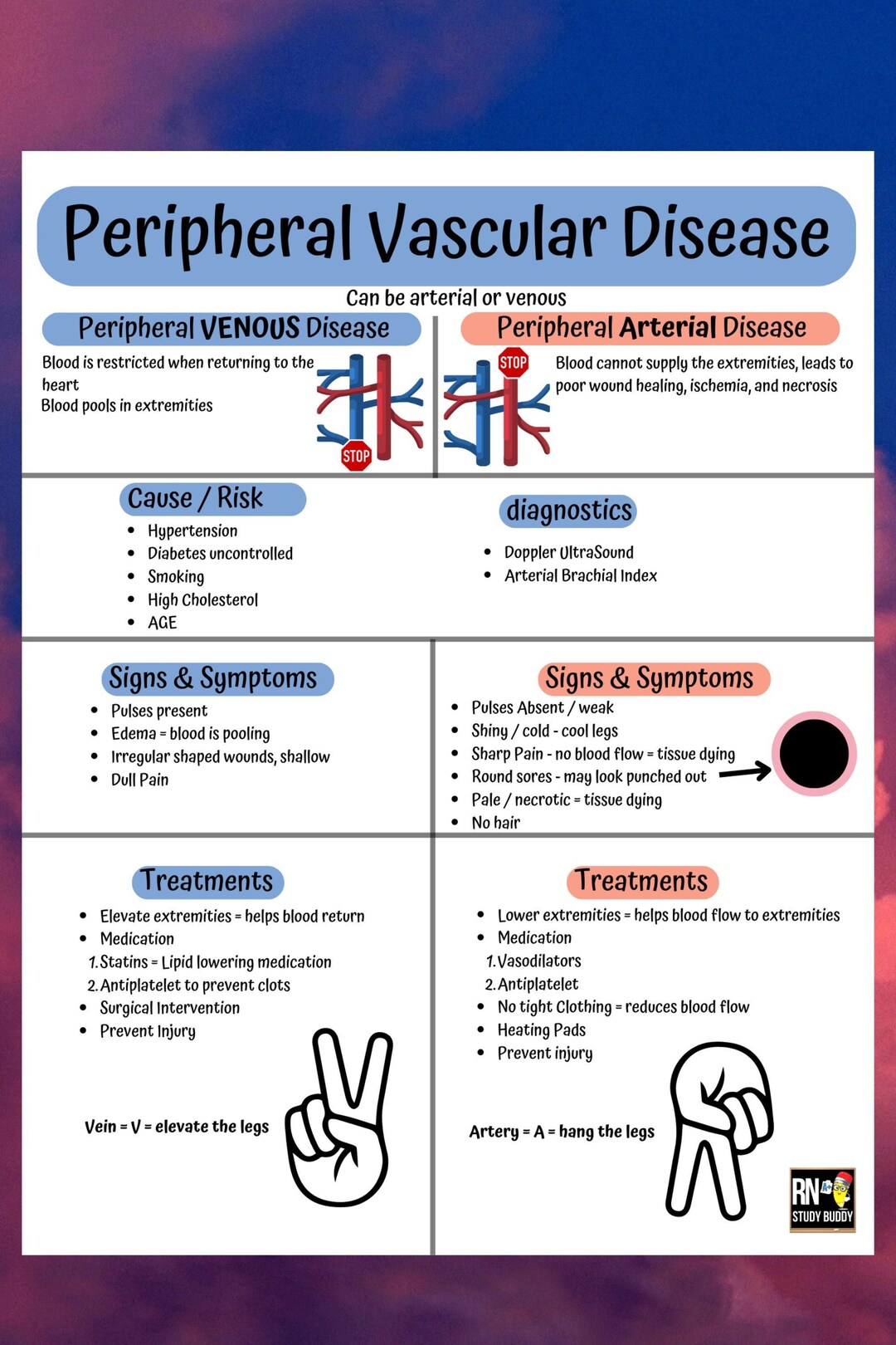 Nursing School Notes, Medsurg Cardiac Peripheral Vascular Disease, This ...