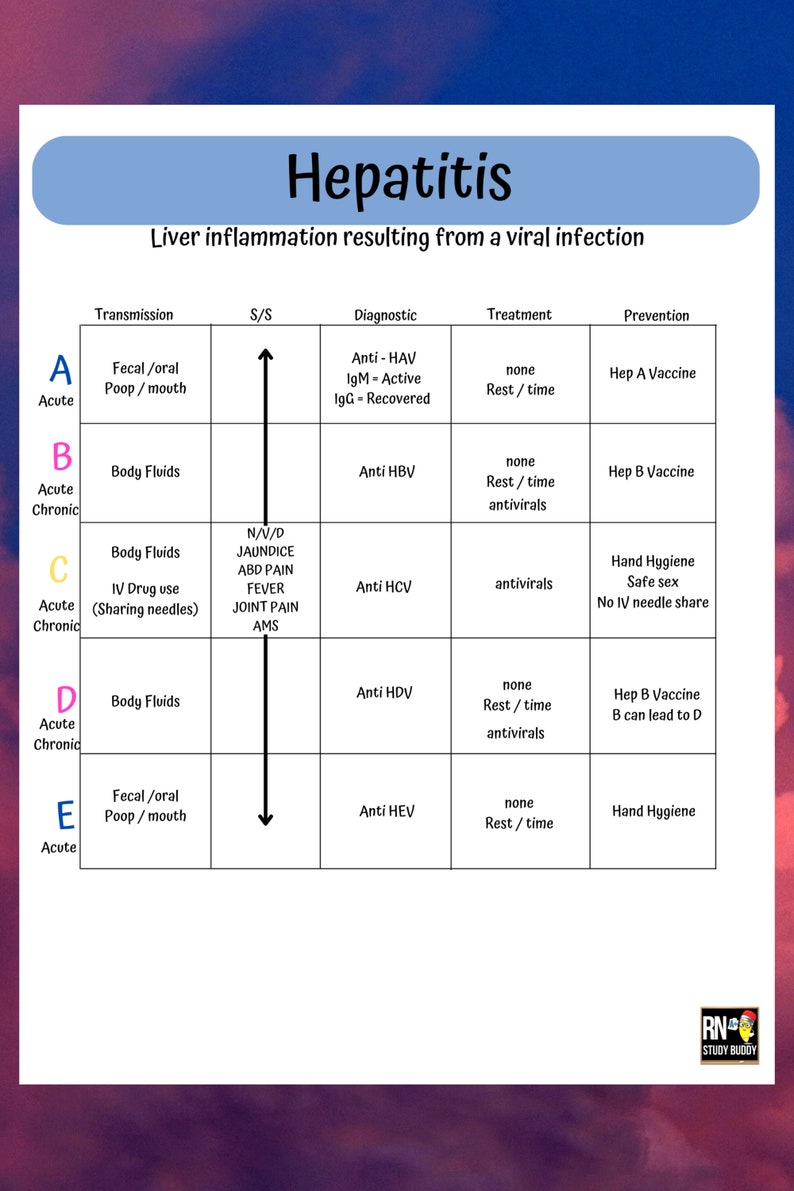 Nursing School GI Bundle Gastrointestinal . 21 Pages of GI Nursing ...