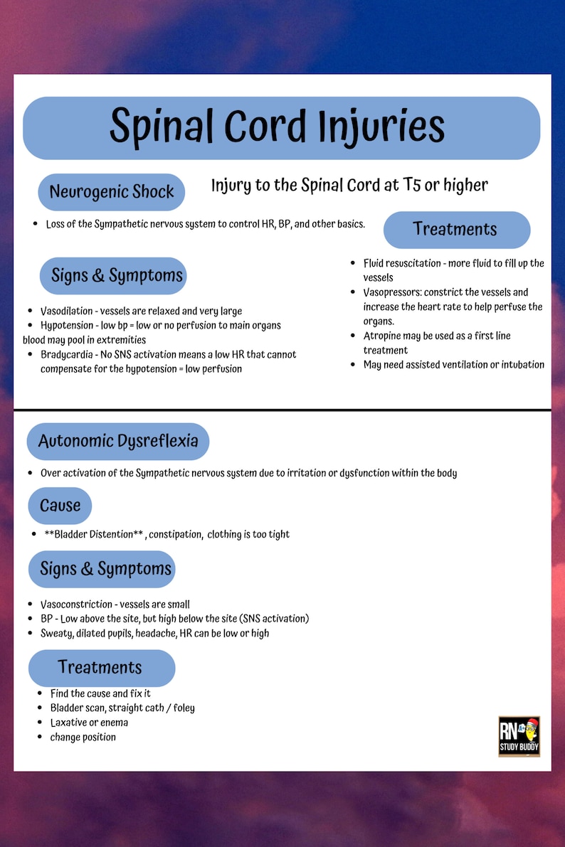 Nursing School Notes, Medsurg Neurology Spinal Cord Injury, This Cheat ...