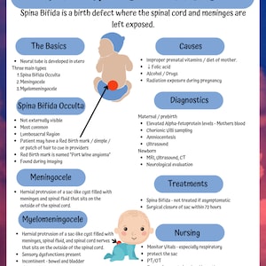 Nursing School Pediatrics Bundle. 41 Pages of Pediatric Nursing Notes ...
