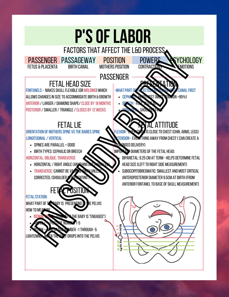 Nursing Cheat Sheet for Maternal Newborn, 5 P's of Labor, (this Item is ...