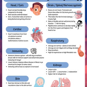 Nursing School Pediatrics Bundle. 41 Pages of Pediatric Nursing Notes ...