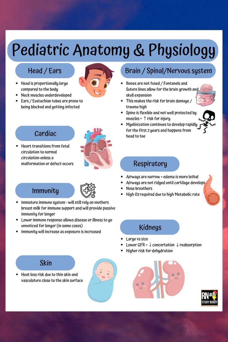 Nursing School Pediatrics Bundle. 41 Pages of Pediatric Nursing Notes ...