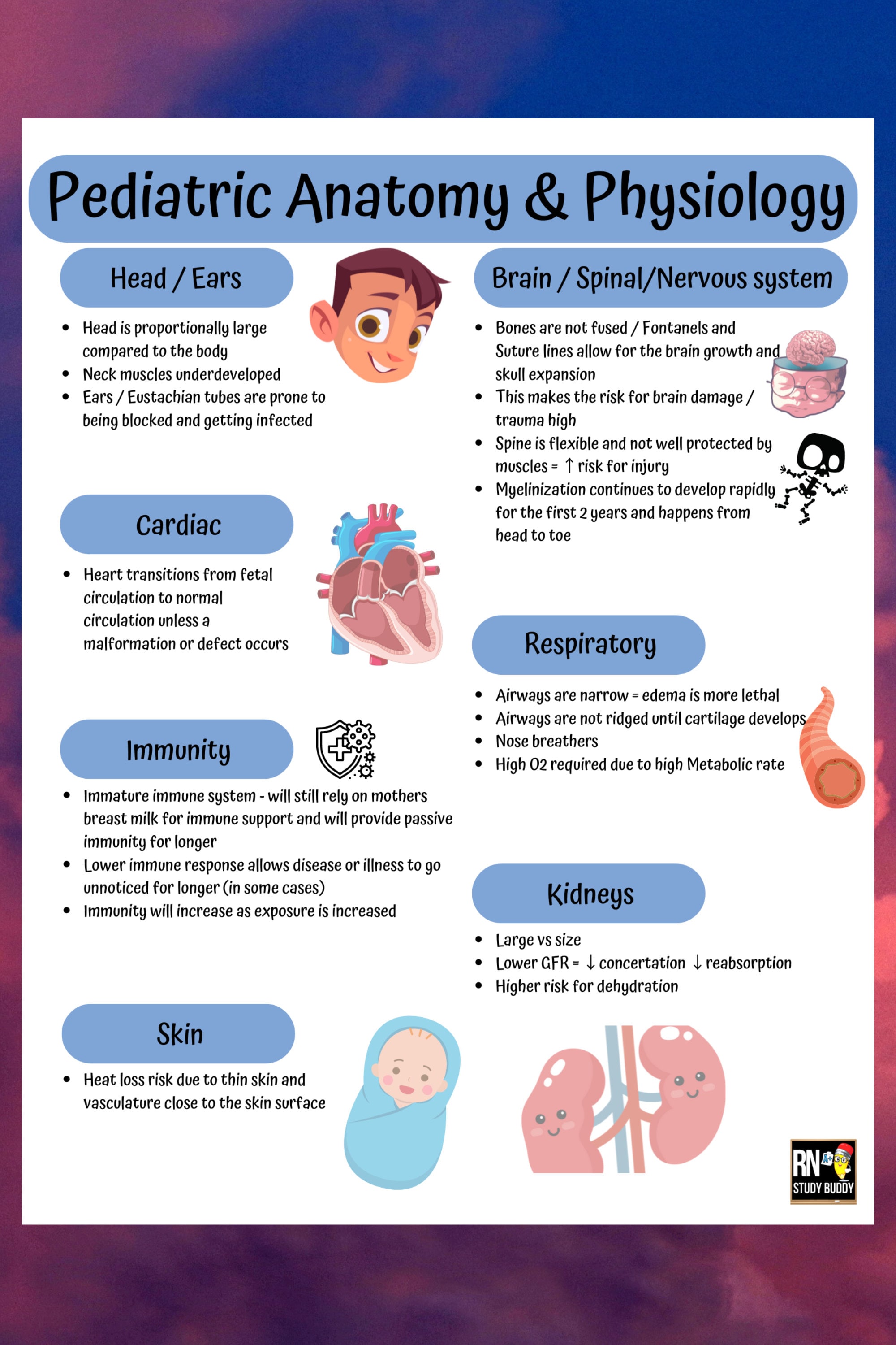 Nursing School Pediatrics Bundle. 41 Pages of Pediatric Nursing Notes ...