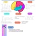 Nursing School Notes, Medsurg Neurology Basics, This Cheat Sheet Gives ...