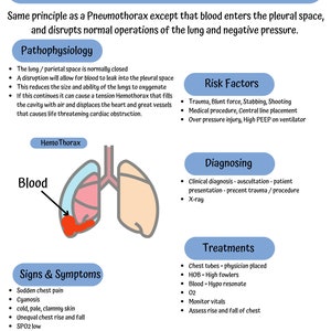Hemothorax Nursing School Notes, Med Surg Pulmonary Basics, Hemothorax ...