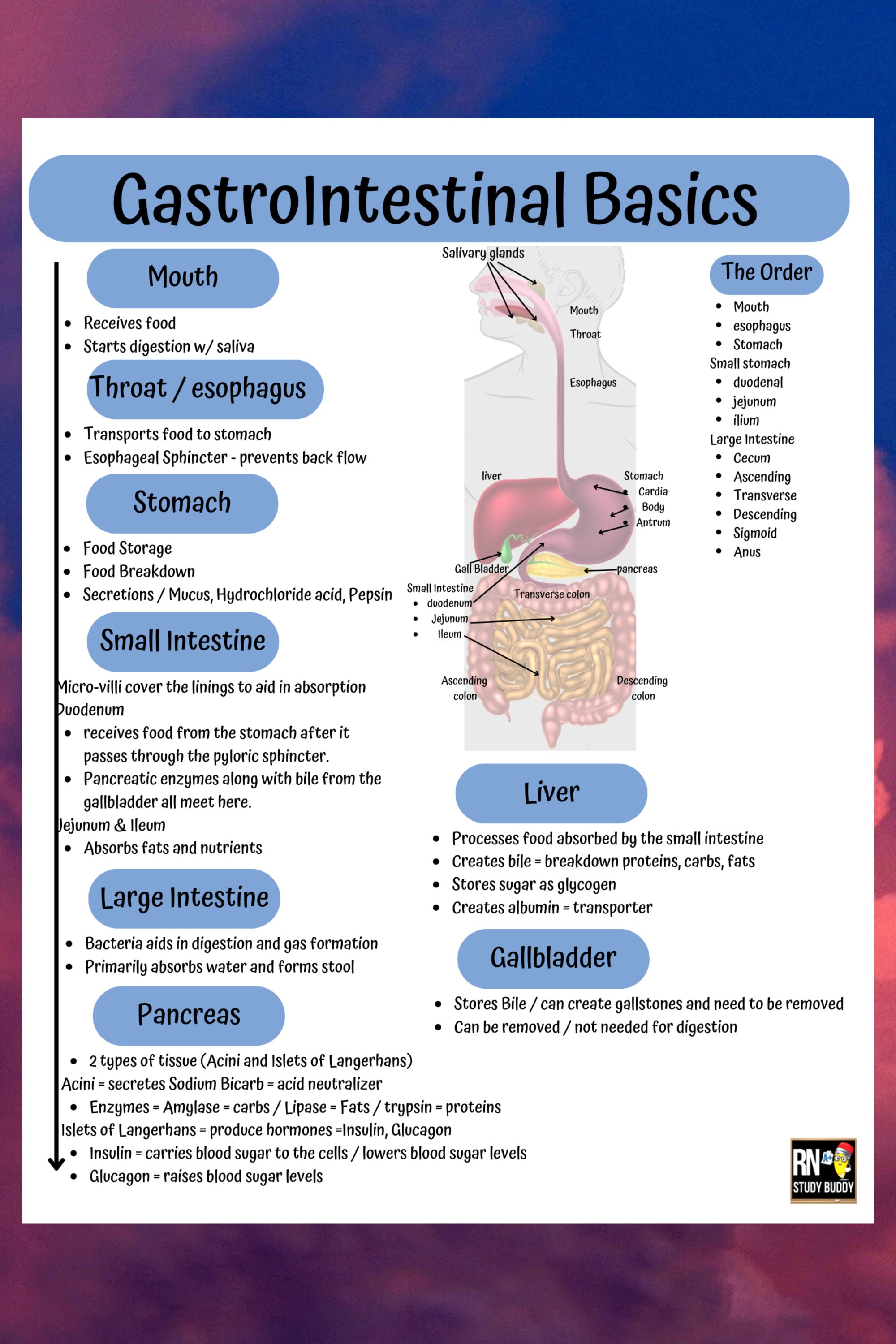 Nursing School Gi Bundle Gastrointestinal 21 Pages Of Gi Nursing