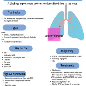 Pulmonary Embolism or PE Nursing School Notes, Med Surg Pulmonary ...