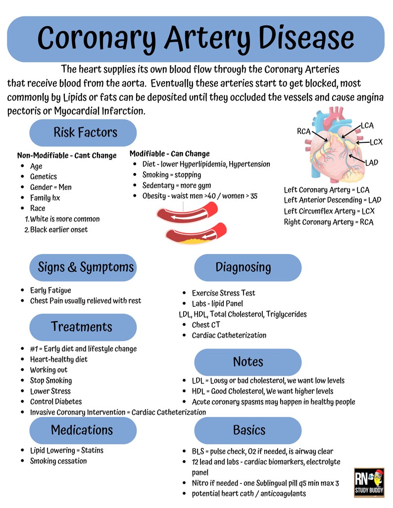Nursing School Notes, Medsurg Cardiac Acute Coronary Disease, This ...