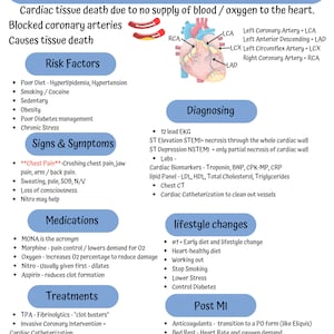 Nursing School Notes, Medsurg Cardiac Myocardial Infarction, MI, Heart ...