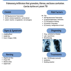 Tuberculosis or TB Nursing School Notes, Med Surg Pulmonary Basics ...