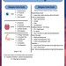 Nursing School Notes, Medsurg Neurology Basics, This Cheat Sheet Gives ...
