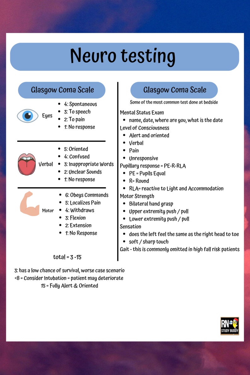 Nursing School Notes, Medsurg Neurology Basics, This Cheat Sheet Gives ...