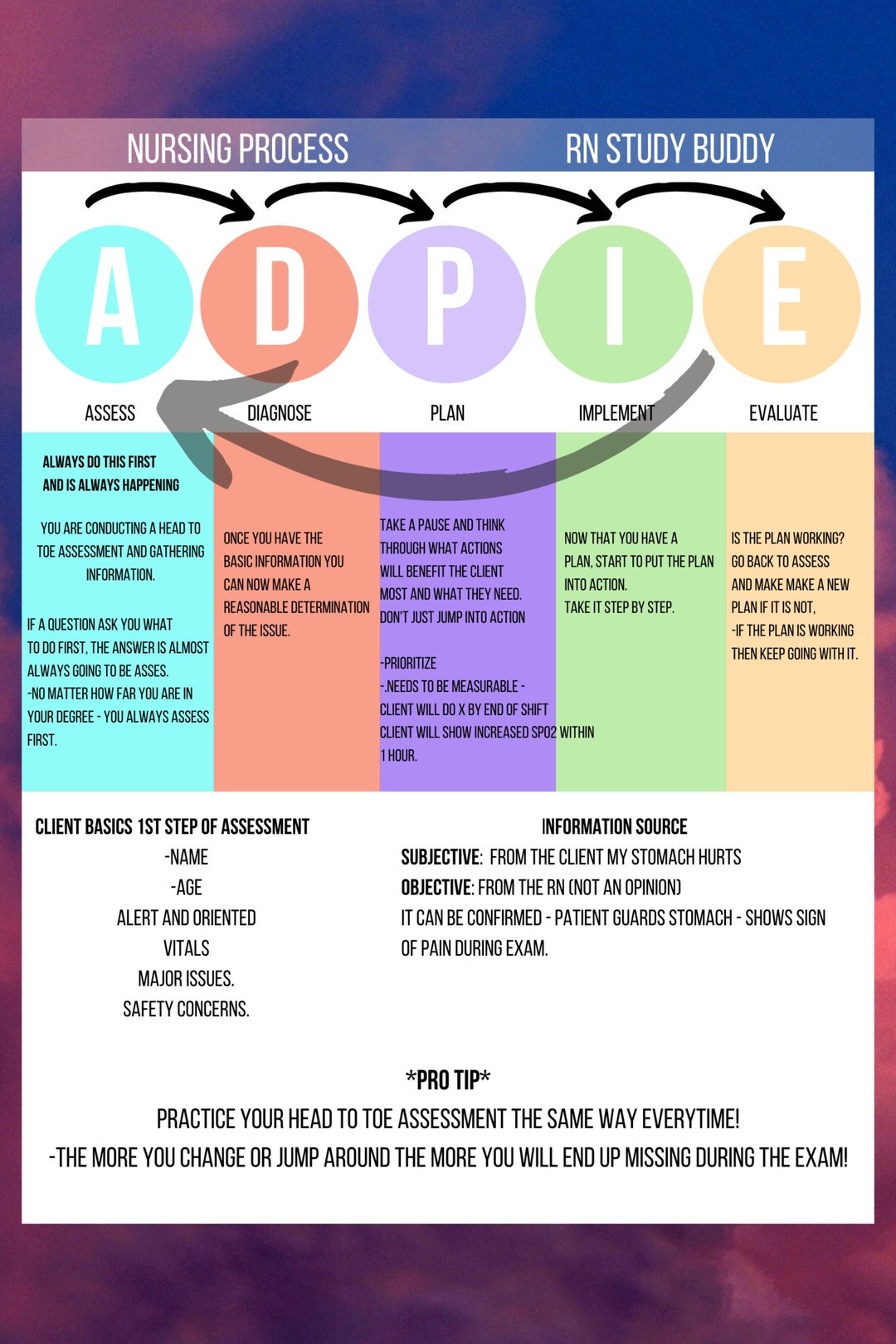 RN Nursing Student ADPIE Made Easy, Nursing Fundamentals. Nursing Adpie ...