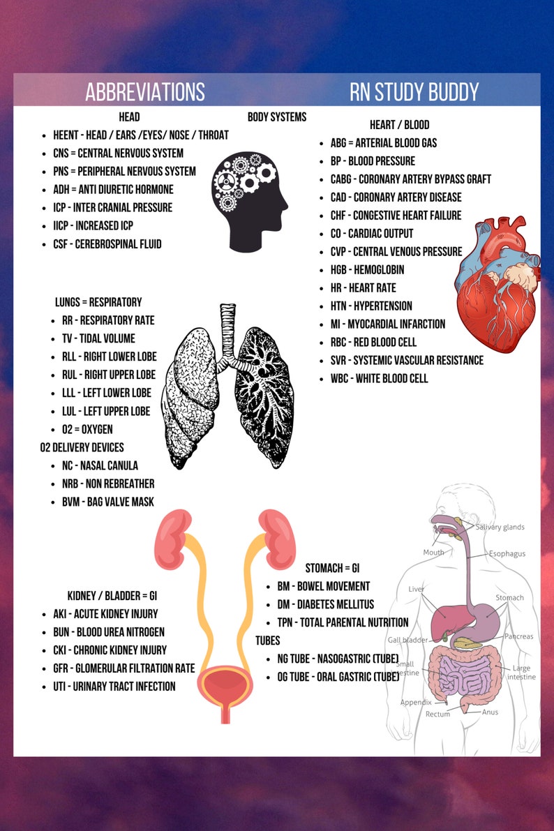 RN Nursing Student Fundamentals Key Words and Abbreviations Made Easy ...