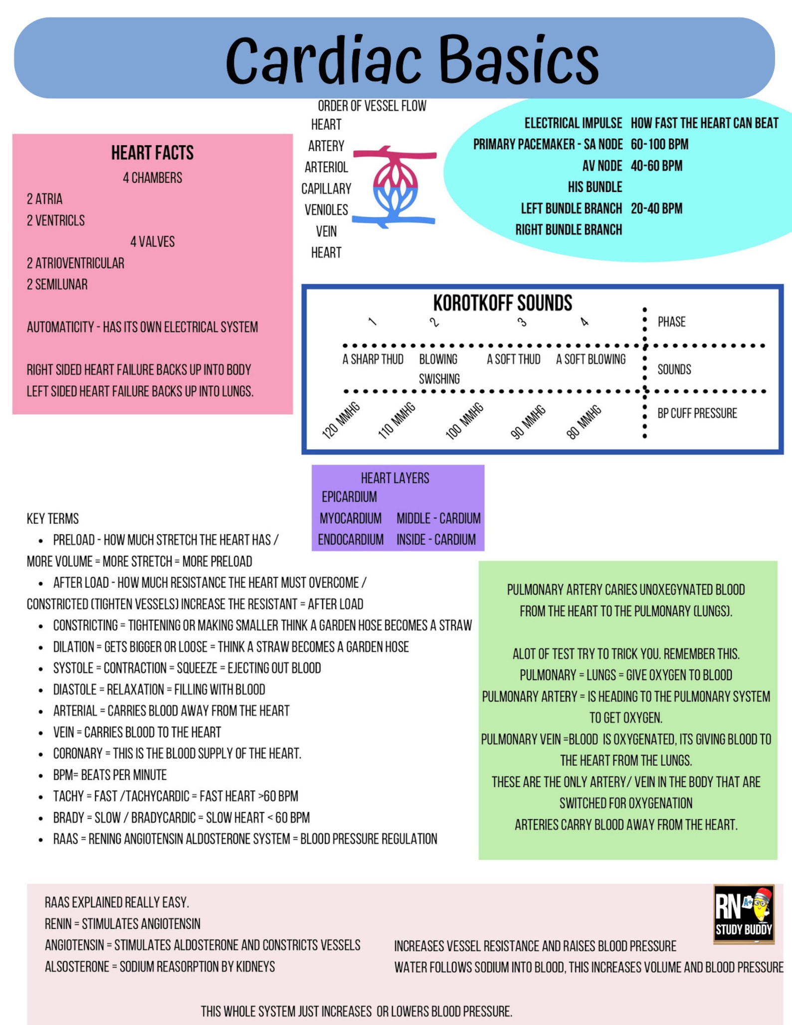 Nursing School Notes, Medsurg Cardiac Blood Flow and Anatomy Made Easy ...