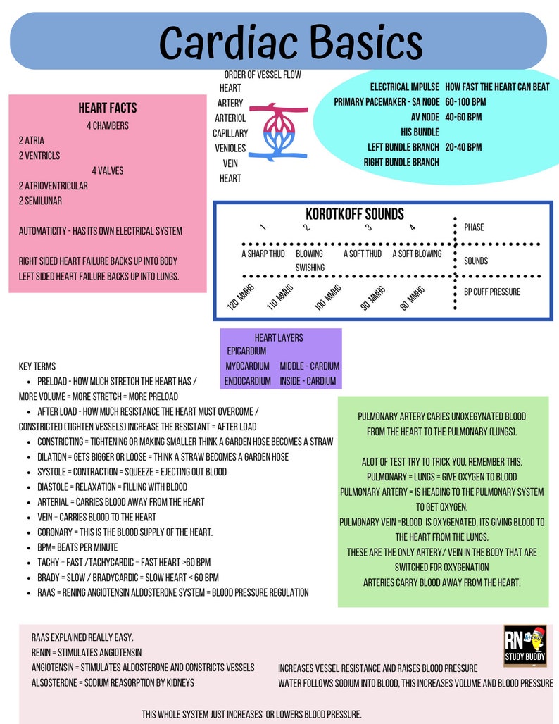 Nursing School Notes, Medsurg Cardiac Blood Flow and Anatomy Made Easy ...