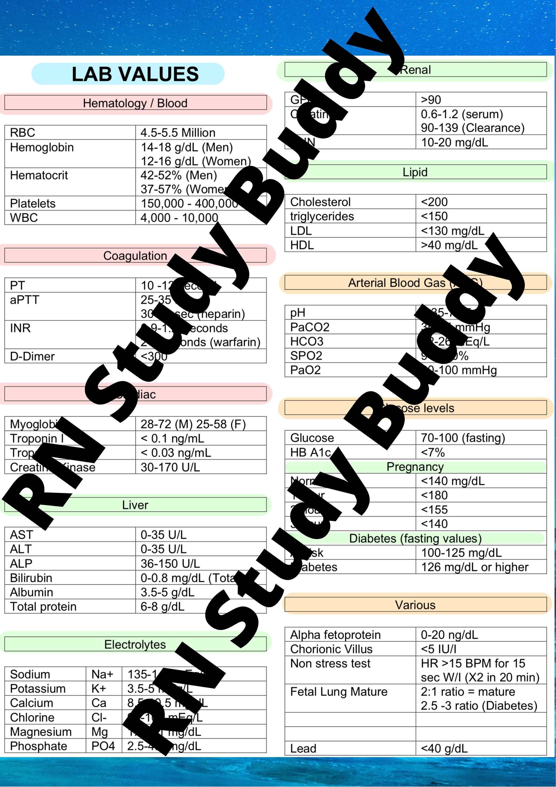 Nursing Lab Values Quick reference cheat sheet. one page study | Etsy