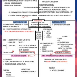 Nursing School GI Bundle Gastrointestinal . 21 Pages of GI Nursing ...