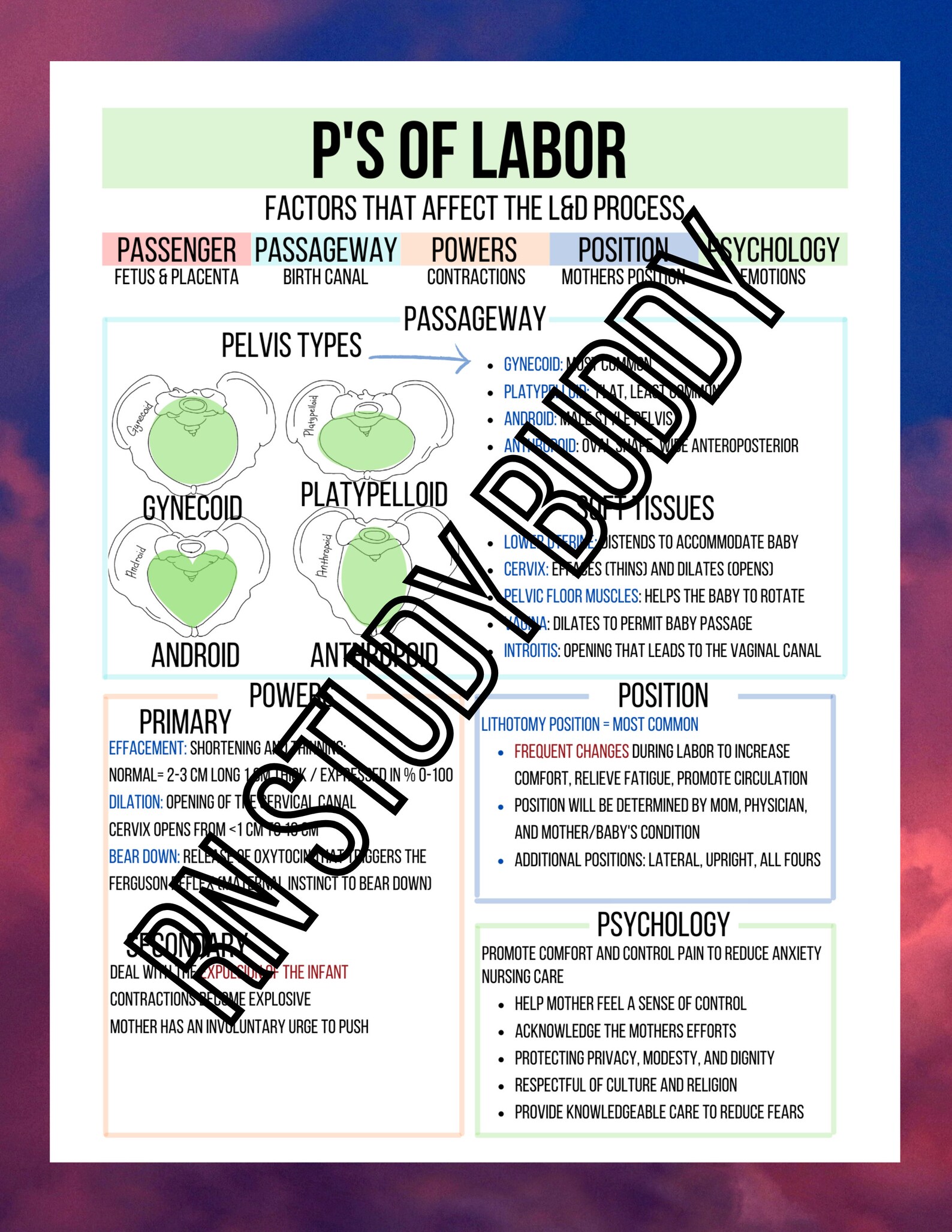 Nursing Cheat Sheet for Maternal Newborn, 5 P's of Labor, (this Item is ...