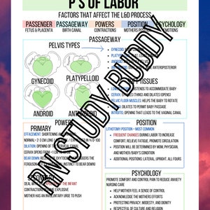 Nursing Cheat Sheet for Maternal Newborn, 5 P's of Labor, (this Item is ...