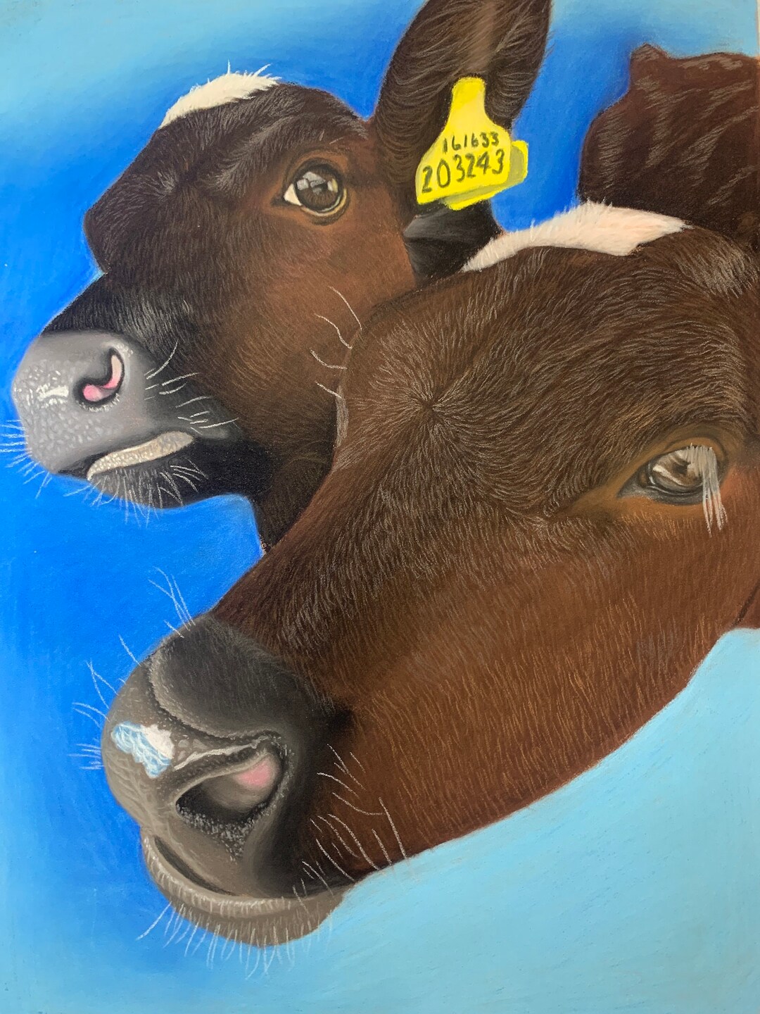 Original Cow Drawing in Pastel. - Etsy