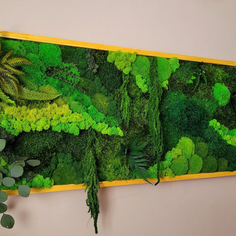 Moss Frame - Etsy