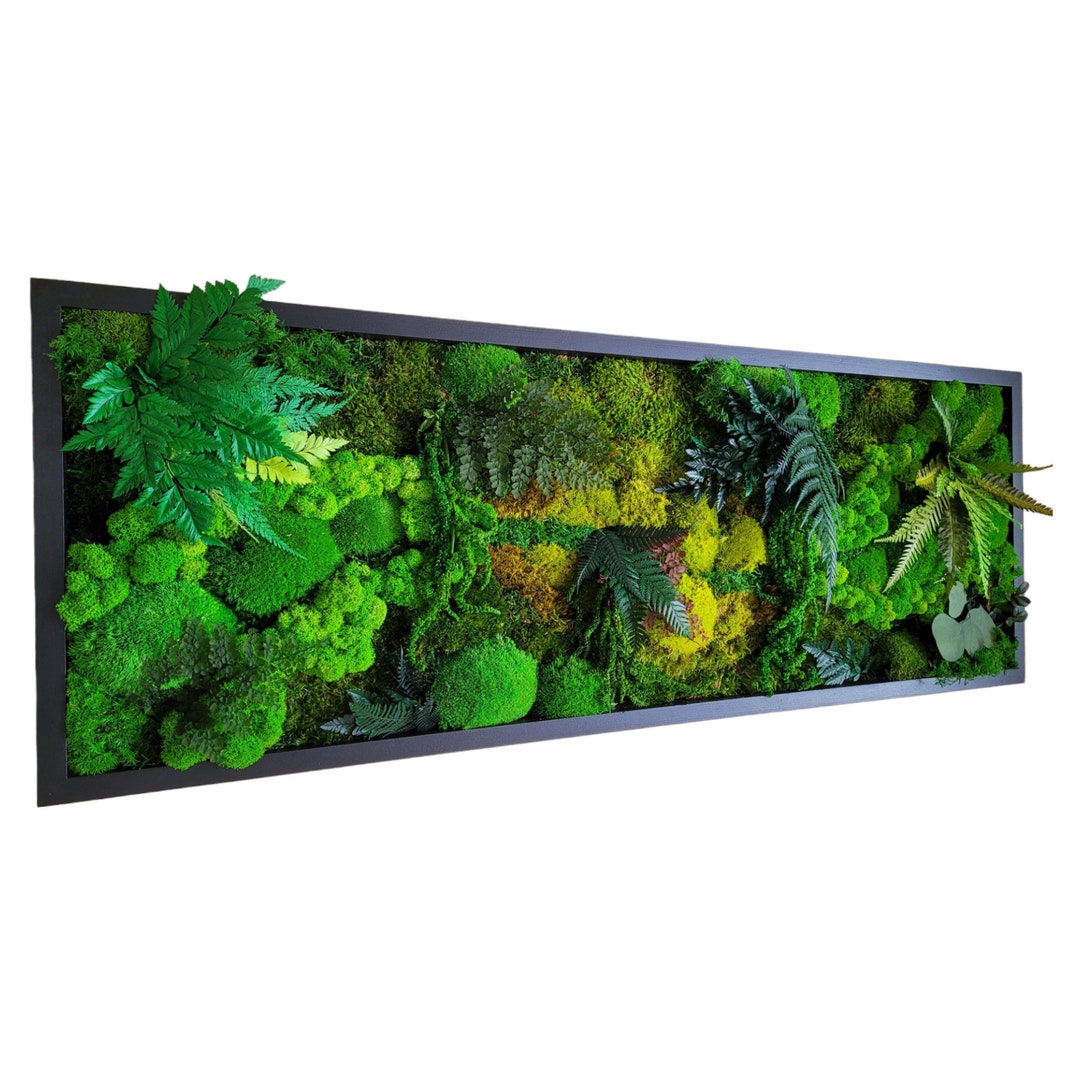 Moss Wall Art. Moss Wall. Greenwall. Moss Frame. Preserved Moss. Moss ...