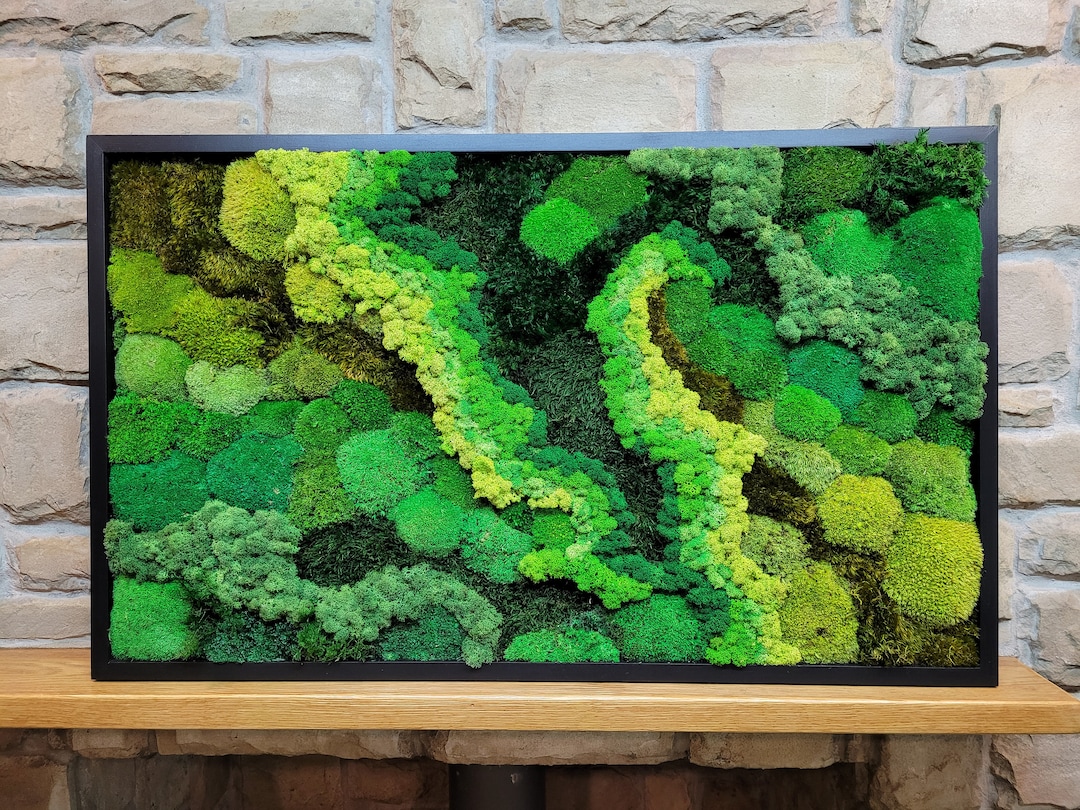 Moss Wall Art - Etsy