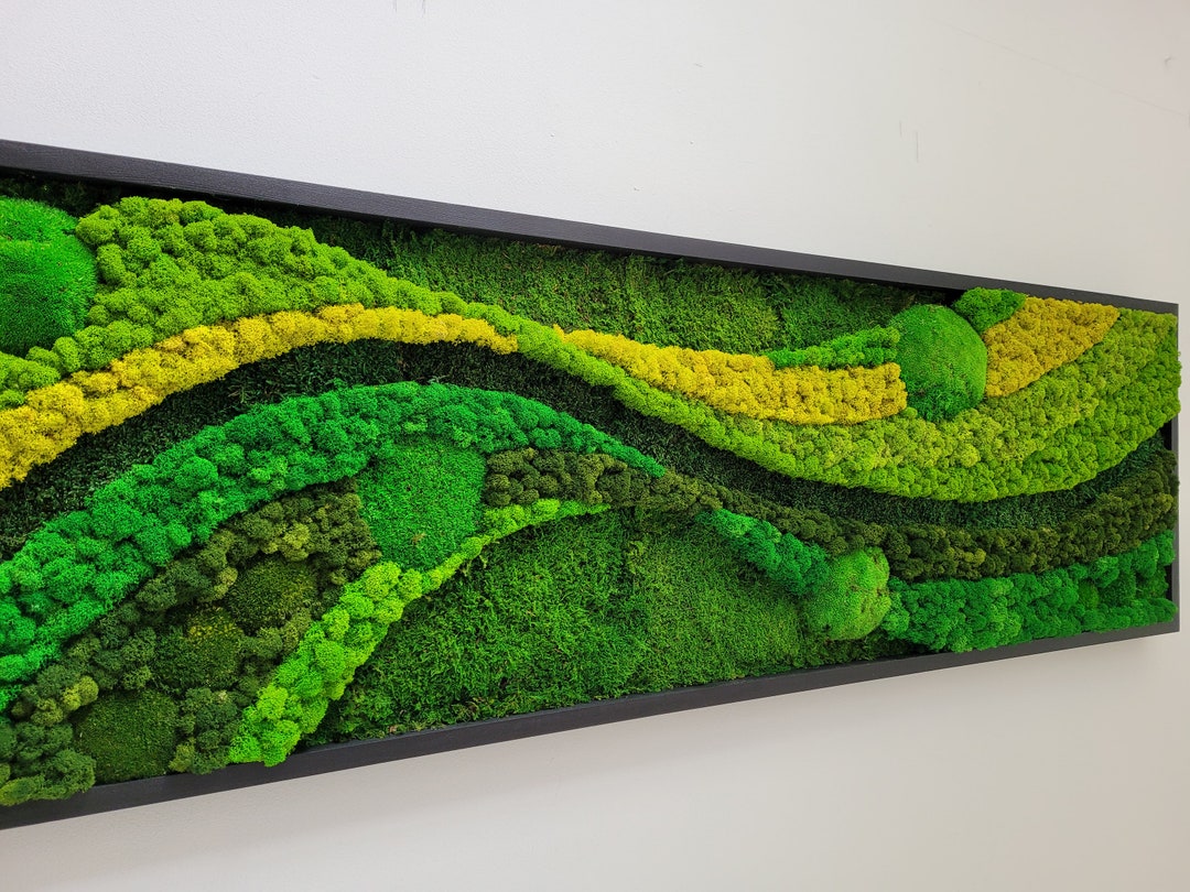 Preserved Moss Wall Art: Framed Green Nature Decor - Etsy