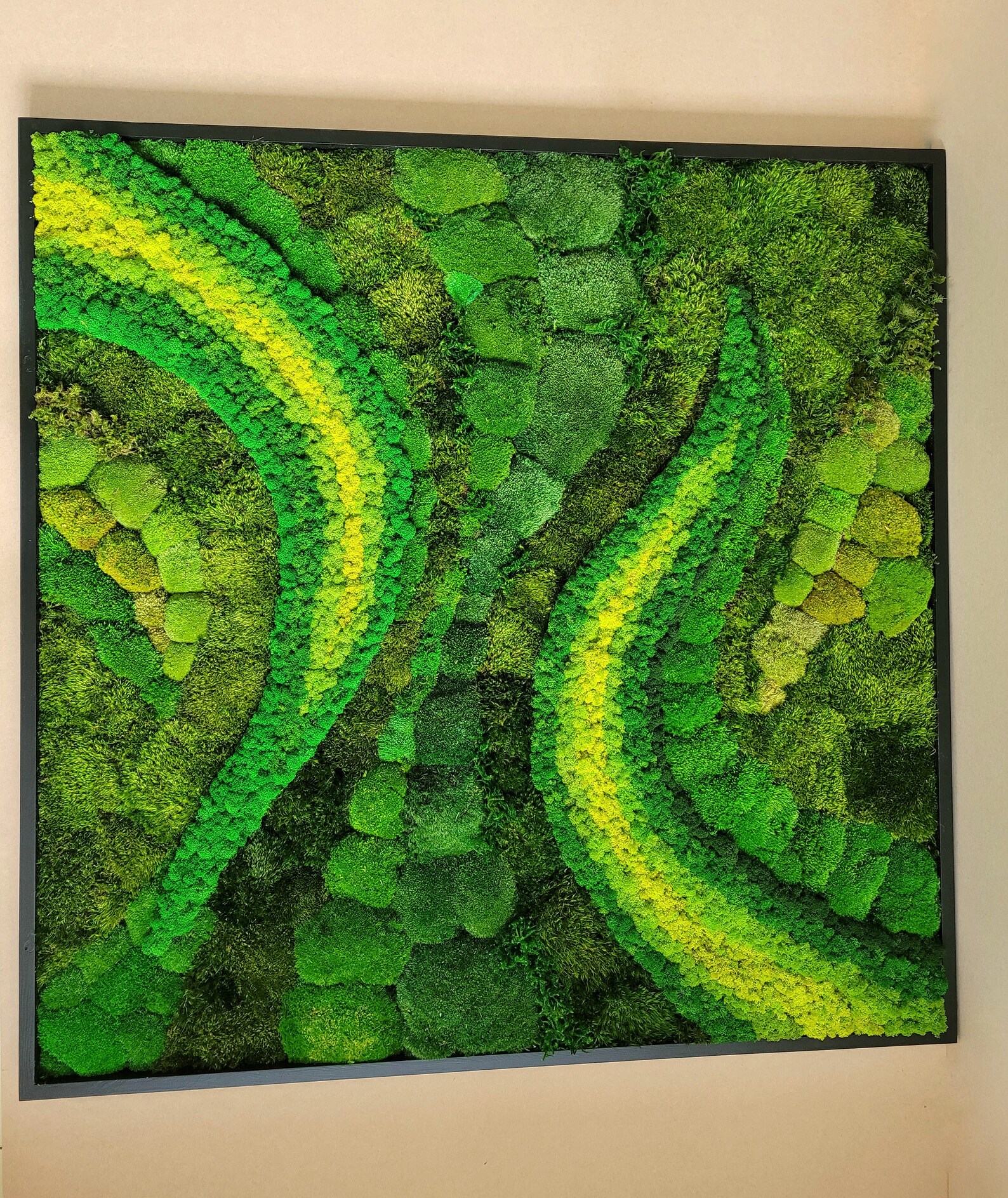 Moss Wall Art. Moss Wall. Greenwall. Moss Frame. Preserved - Etsy