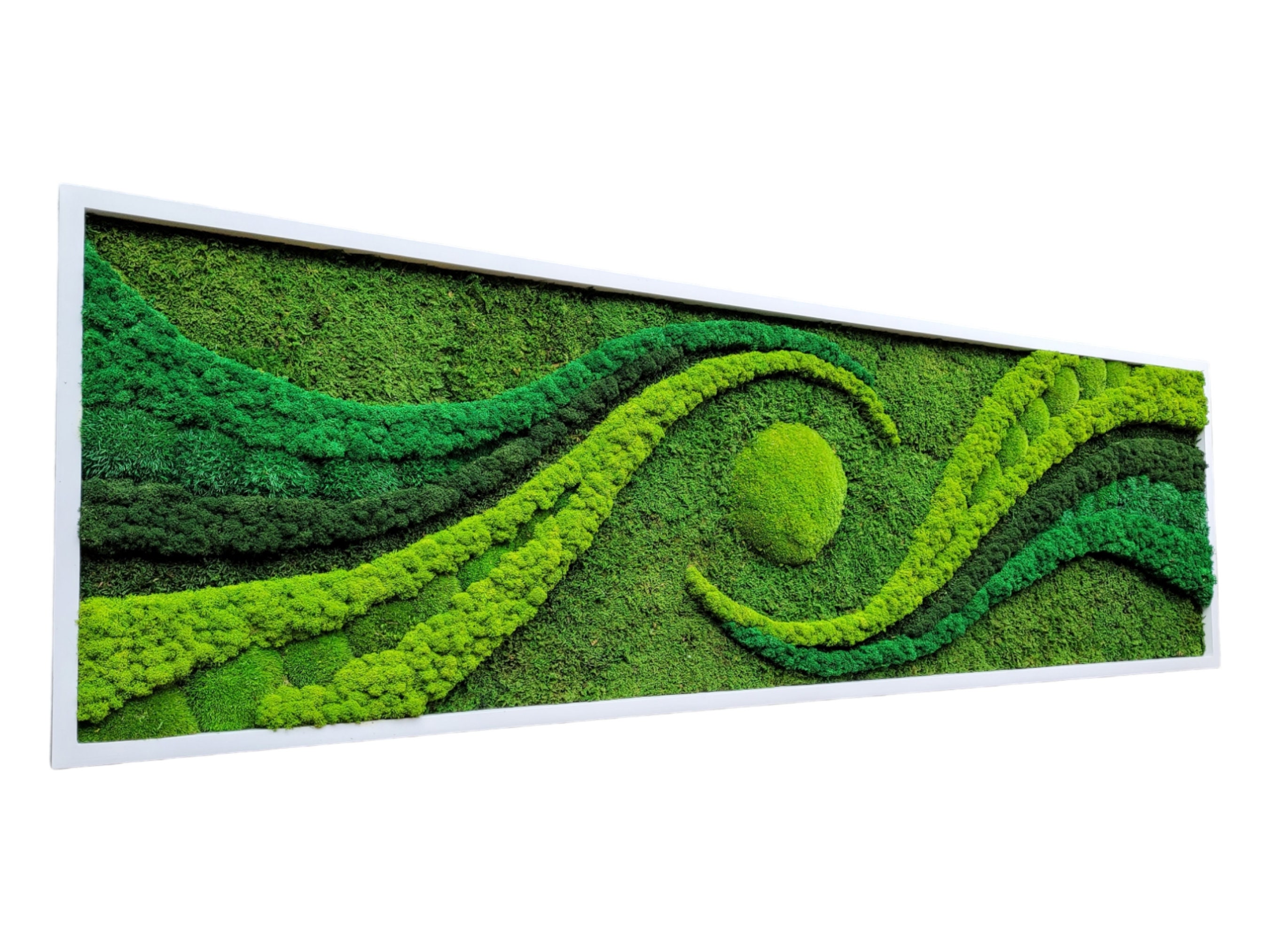 Real Moss Wall Art: Framed Botanical Nature Decor - Etsy