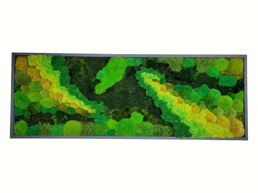 Moss Wall Art. Moss Wall. Greenwall. Moss Frame. Preserved Moss. Moss ...