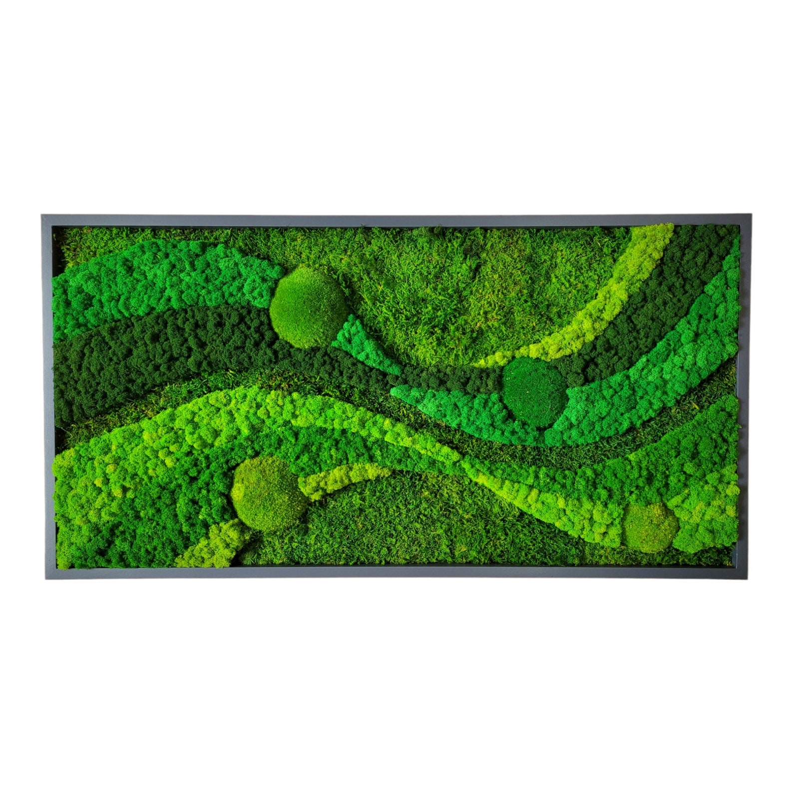 Moss Wall Art. Moss Wall. Greenwall. Moss Frame. Preserved - Etsy