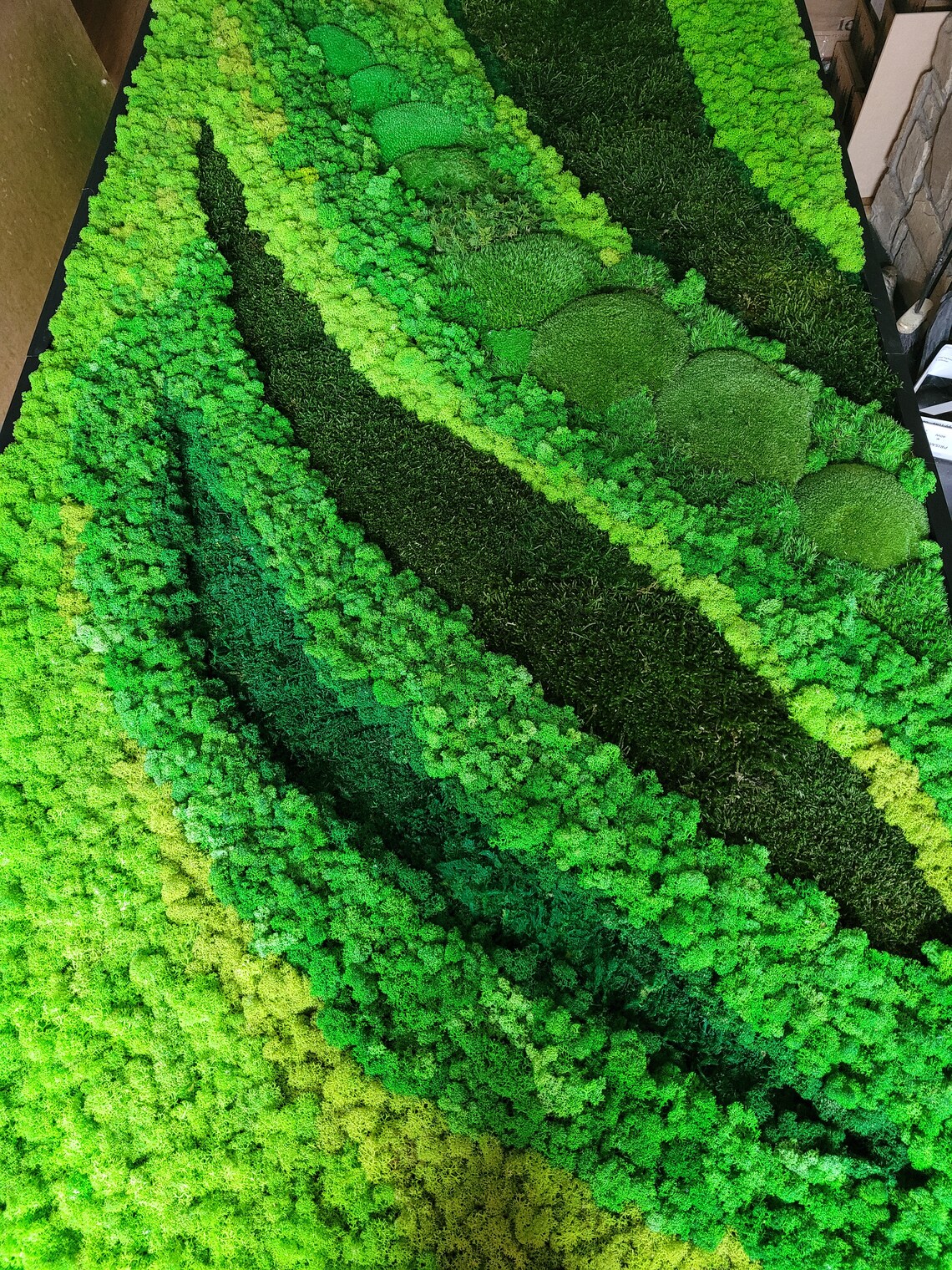 Moss Wall Art. Moss Wall. Greenwall. Moss Frame. Preserved | Etsy