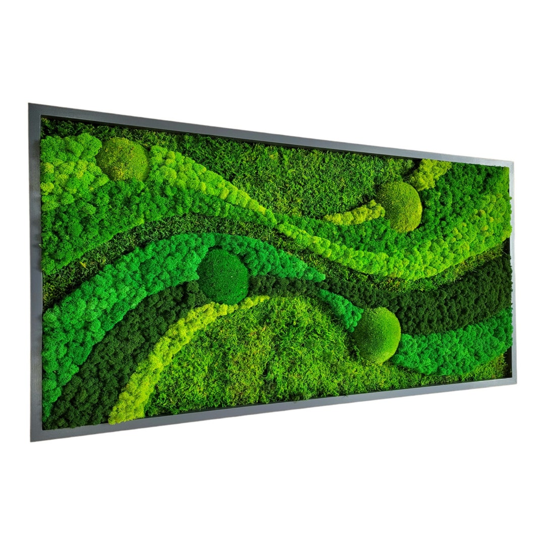 Moss Wall Art. Moss Wall. Greenwall. Moss Frame. Preserved Moss. Moss ...