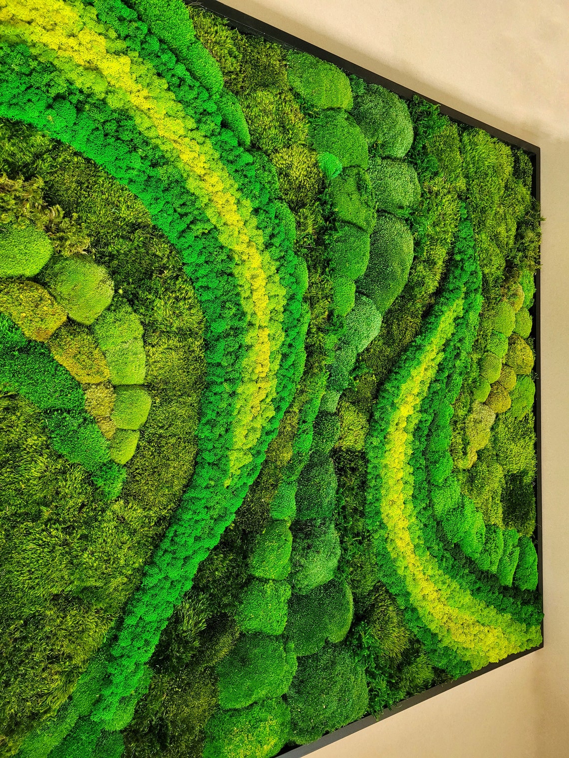 Moss Wall Art. Moss Wall. Greenwall. Moss Frame. Preserved - Etsy
