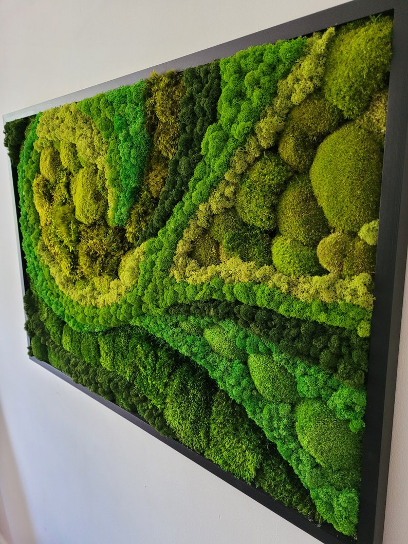 Moss Wall Art. Moss Wall. Greenwall. Moss Frame. Preserved - Etsy