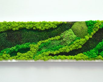 Preserved Moss Wall Art Etsy