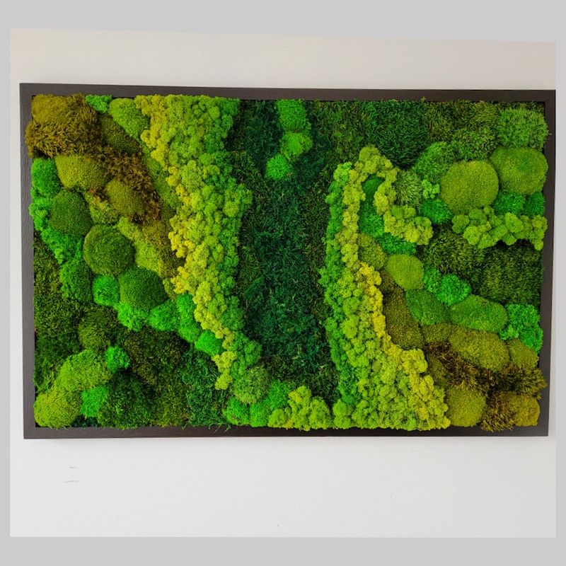 Moss Wall Art Large - Etsy