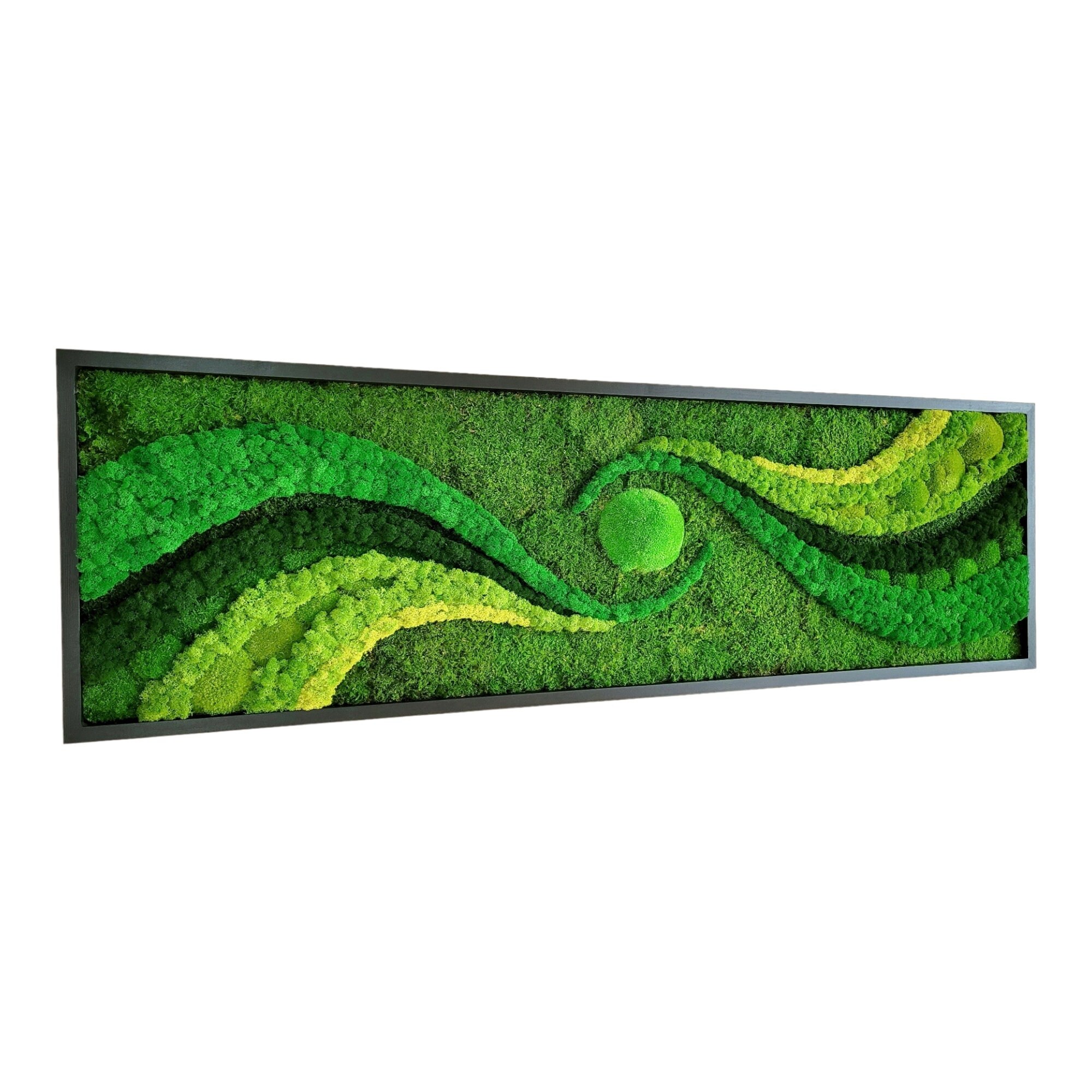 Real Moss Wall Art: Framed Botanical Nature Decor - Etsy