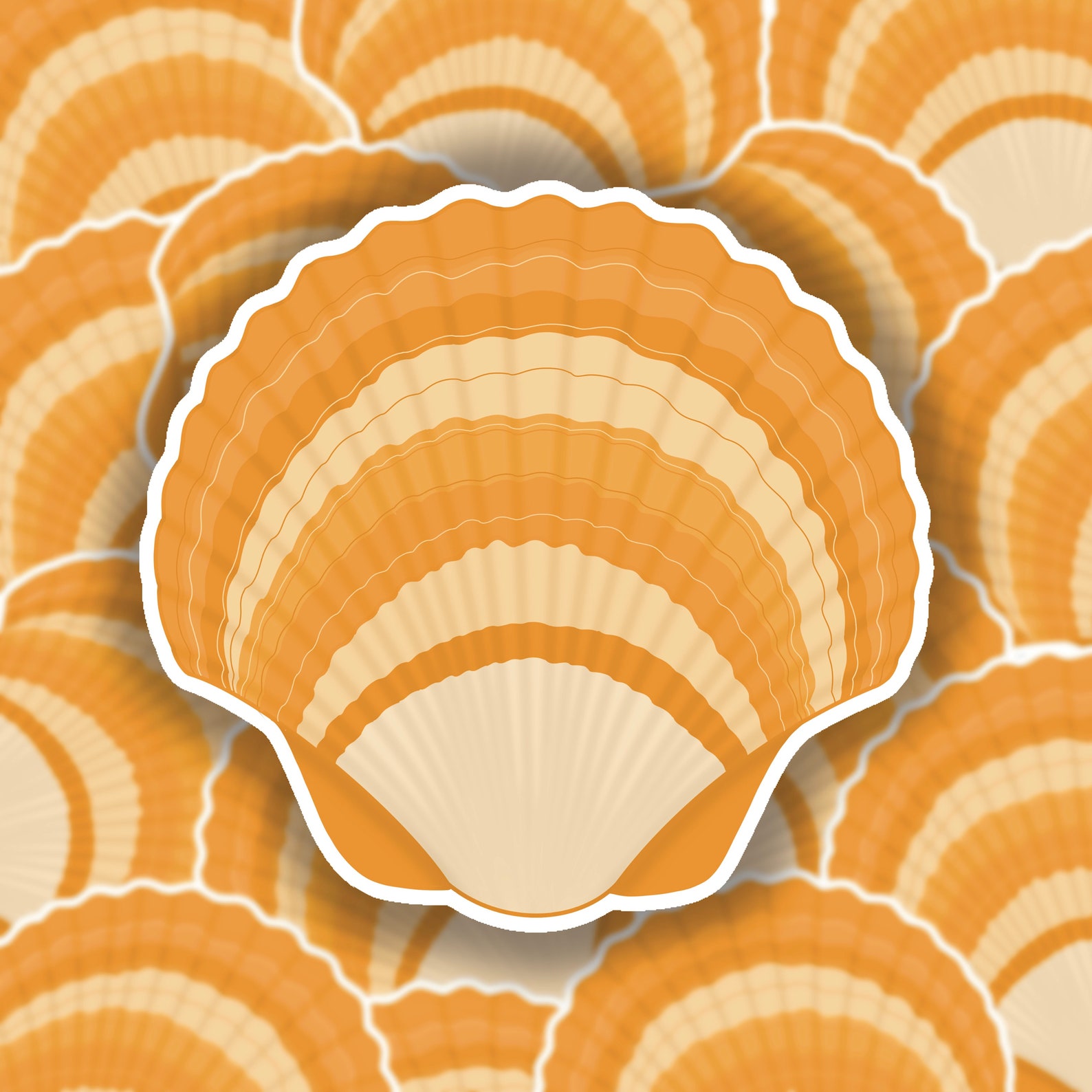 Shell Sticker Scallop Sticker Waterproof Sticker Vinyl | Etsy