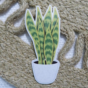 Snake Plant Sticker Waterproof Sticker Vinyl Die Cut | Etsy