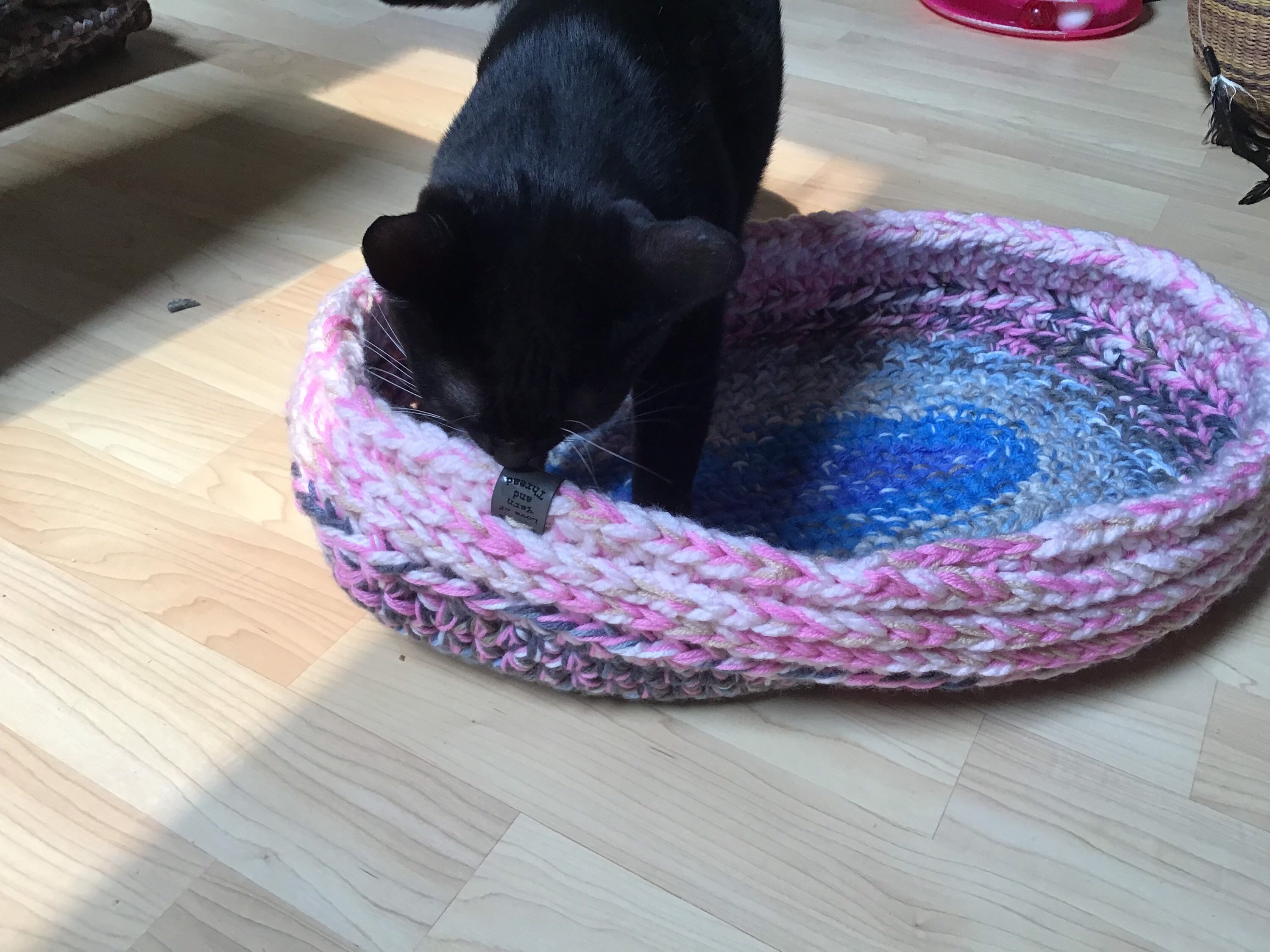 Appleton Kitten Basket - Etsy