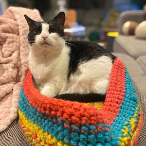 Appleton Kitten Basket - Etsy